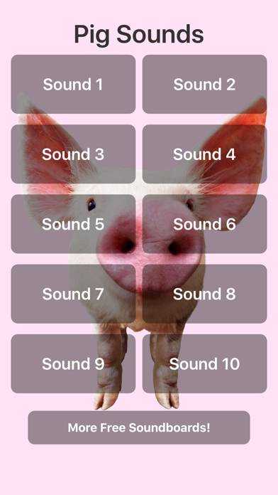 Download Pig Sounds App [Updated Sep 16] | WorldsApps