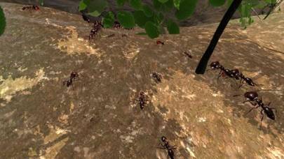 Download Ant Simulation Full App [Updated Apr 22] | WorldsApps