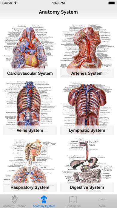 Download Human Anatomy Position App [Updated Apr 17] | WorldsApps