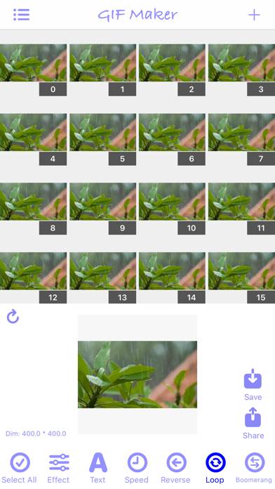 GIF maker - GIF meme creator App Download [Updated Sep 21] - Free Apps for iOS, Android & PC