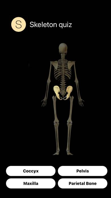 Download Human Skeleton Quiz App [Updated Apr 23] | WorldsApps