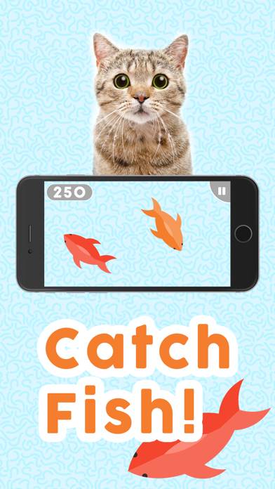 Games for Cats! App Download [Updated Sep 23]