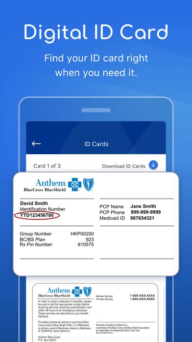 Download Sydney Health App [Updated Sep 24] | WorldsApps