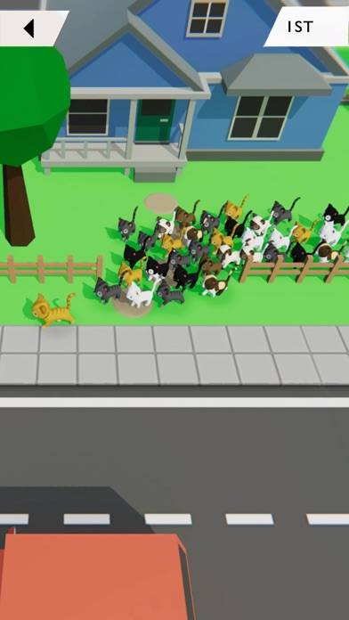 KITT.IO: Cat Arena Showdown App Download | WorldsApps