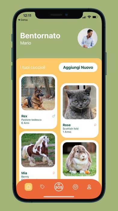 Zampy Life App Download [Updated Oct 23]