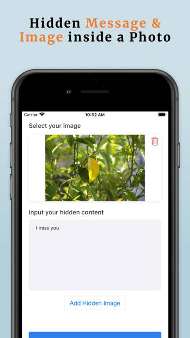 Steganography: Hidden Message App Download | WorldsApps
