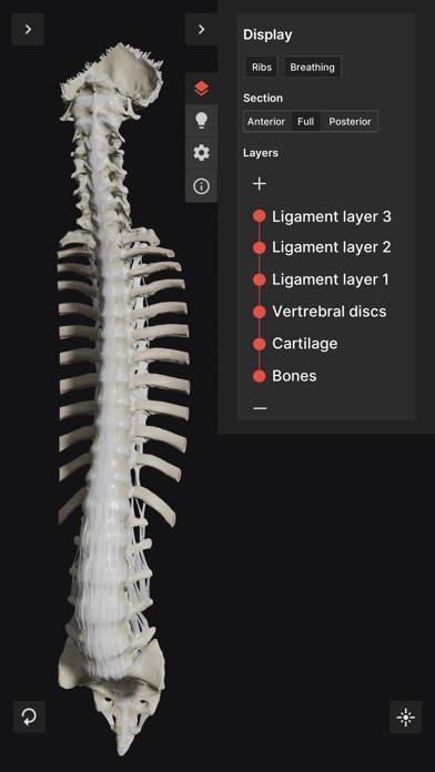 Scarica l'app Biomechanics of the Spine Lite | WorldsApps