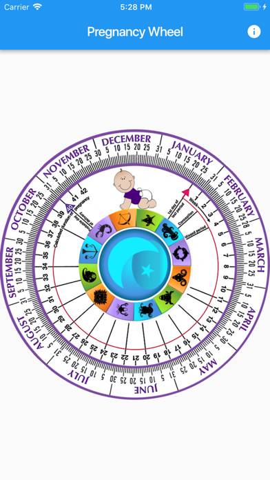 Download Pregnancy Wheel HD App [Updated Jan 22] | WorldsApps