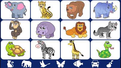 Download Video Touch - Wild Animals App [Updated Mar 22] | WorldsApps