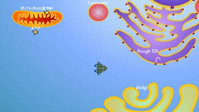 Cell Explorer: The Animal Cell App Download [Updated Feb 18] - Free ...