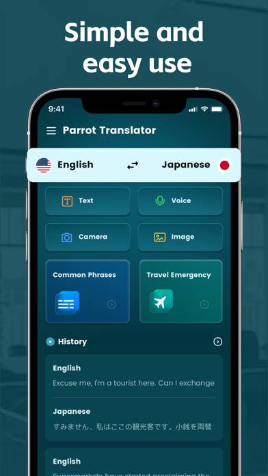 Download Parrot Translator App [Updated Jun 24] | WorldsApps