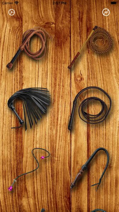 Whip Simulator - Pocket Whip App Download | WorldsApps