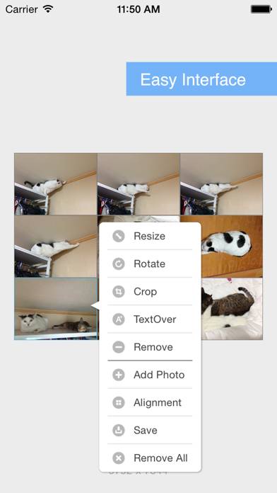 Download PutPic - Easy Photo Merge App [Updated Oct 15] | WorldsApps