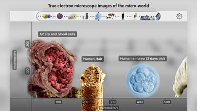 Universal Zoom App Download [Updated Jan 19] - Free Apps for iOS ...