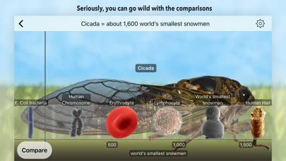 Universal Zoom App Download [Updated Jan 19] - Free Apps for iOS ...