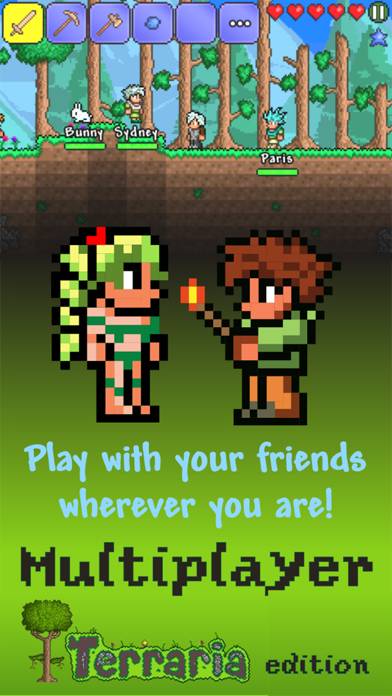 Multiplayer Terraria edition App Download | WorldsApps