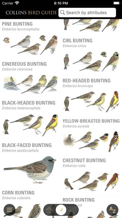 Download Collins Bird Guide App [Updated Jul 24] | WorldsApps
