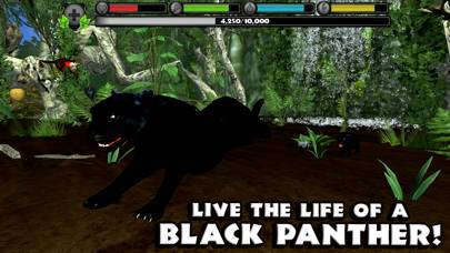 Download Panther Simulator App [Updated Jun 18] | WorldsApps